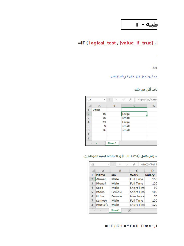 If 19 Practical | PDF