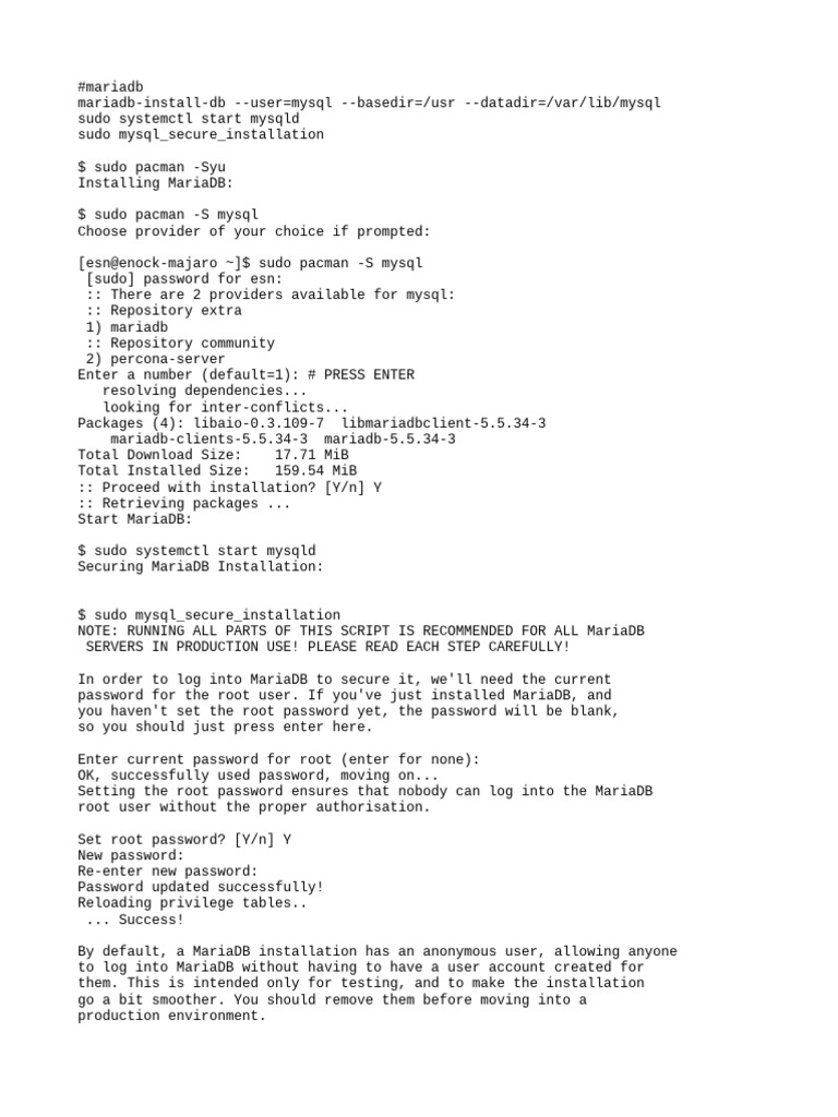 MariaDB Setup Guide for Developers | PDF