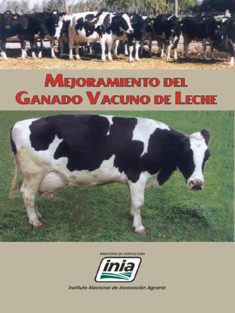 Rejistro-Mejoramiento Del Ganado Vacuno de Leche | PDF | Vacas | Leche