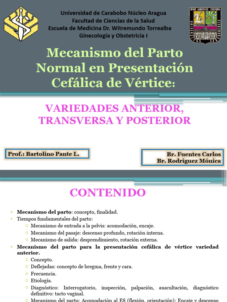 Mecanismo de Parto Normal Presentación Cefálica de Vértice | PDF
