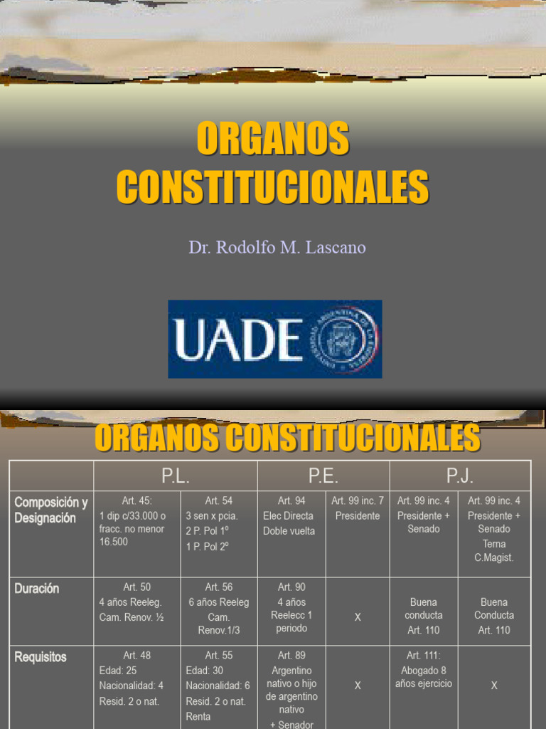 Organos Constitucionales | PDF | Judicaturas | Instituciones sociales