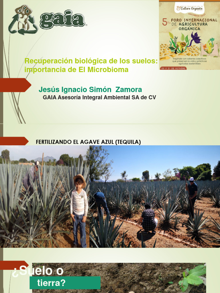 Ignacio Zamora | PDF | Suelo | Compost