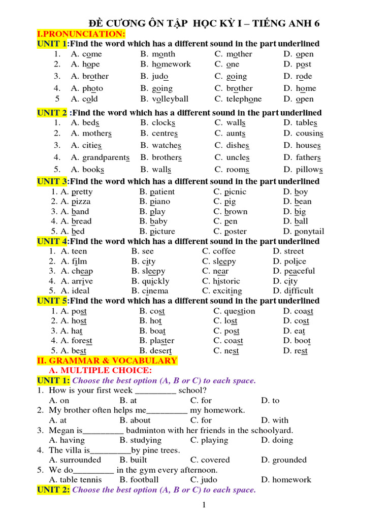 ĐỀ CƯƠNG ÔN TẬP HỌC KỲ I - HOME - G6 - 32 BẢN | PDF