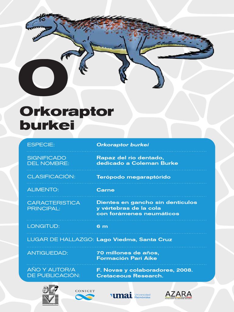 Orkoraptor Burkei Ficha | PDF | Ciencias sociales | Estudios de idiomas ...