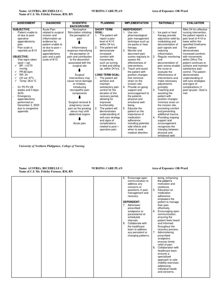 Austria - NCP - Ob | PDF | Pain | Nursing