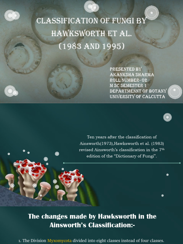 Hawksworth Classification by Akanksha | Download Free PDF | Fungus ...