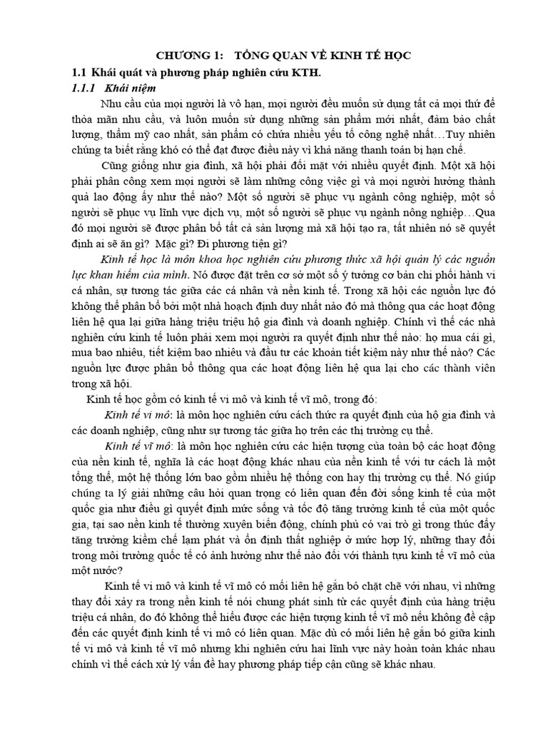 Bài Giảng Kinh Tế VI Mô | PDF