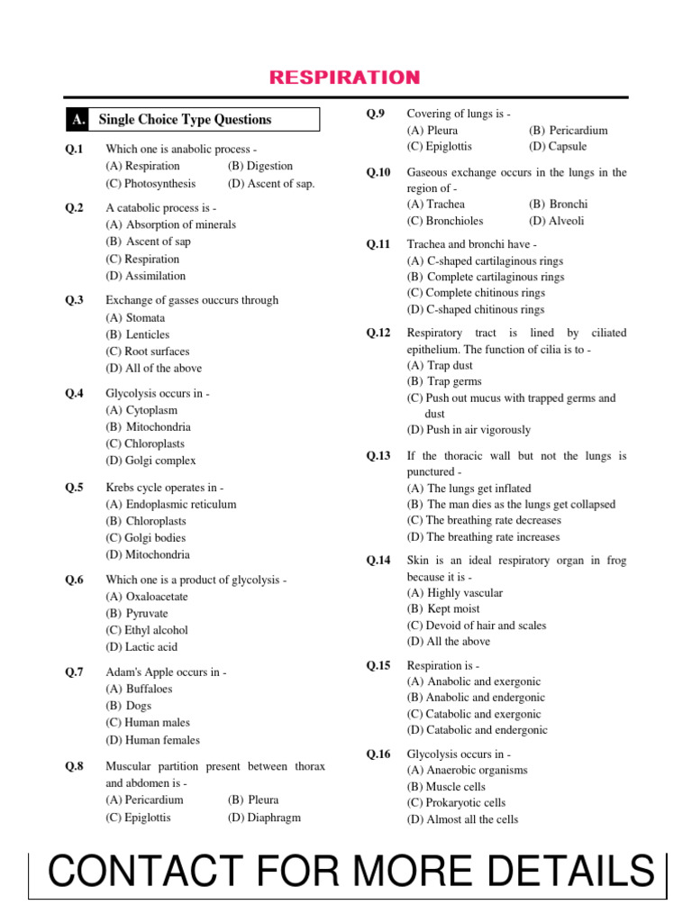 Biology Respiration Quiz Questions | PDF | Lung | Respiratory System