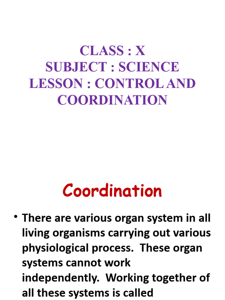 Control and Coordination X-3 | PDF | Neuron | Plant Hormone