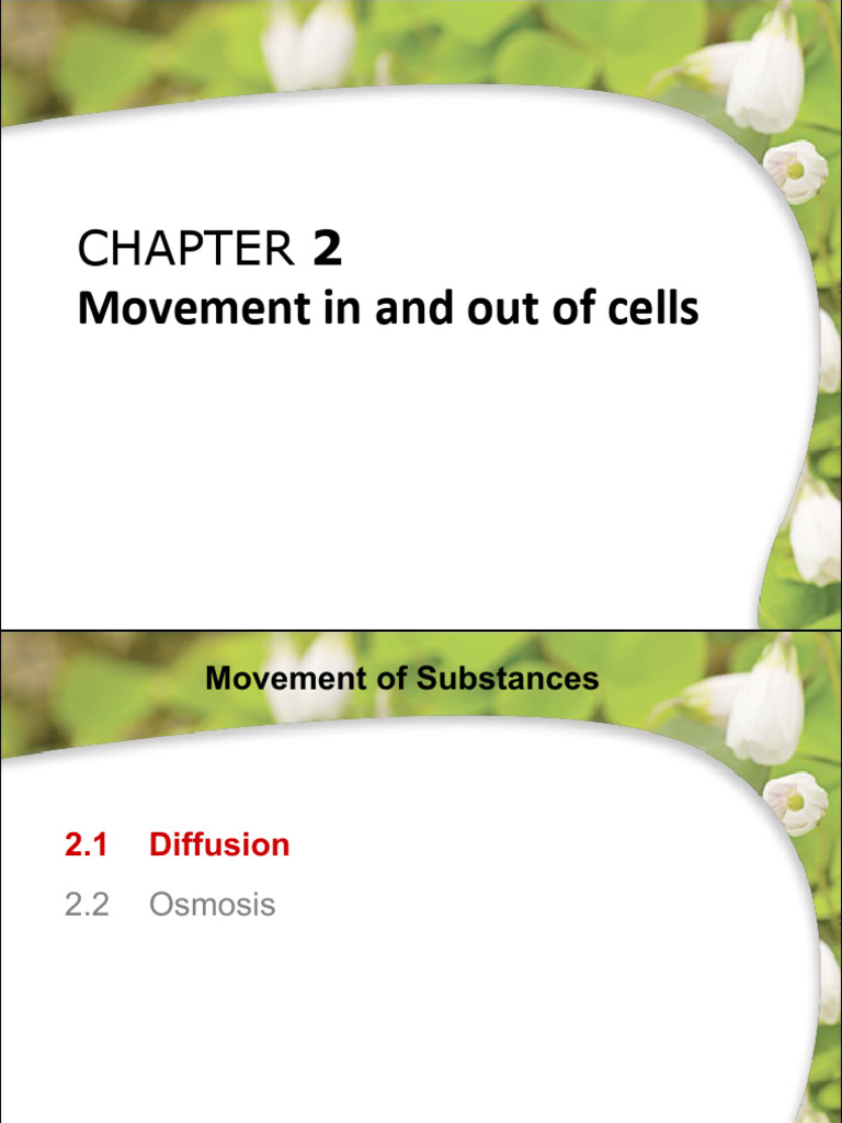 Chapter 2 Movement in and Out of Cells 2 | PDF | Osmosis | Vacuole