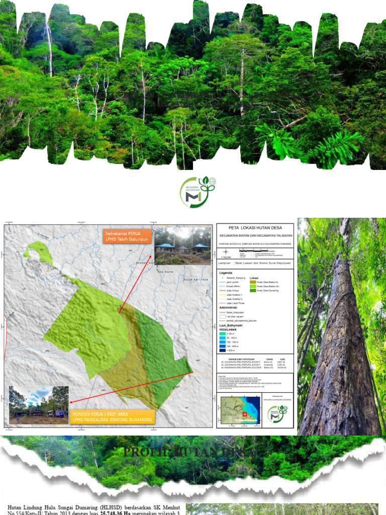 Profil Hutan Desa | PDF