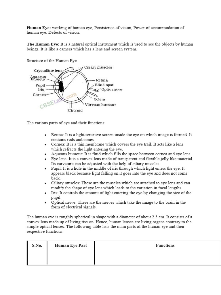 Human Eye Pdf Eye Human Eye