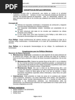 Definición y función del huso muscular | PDF | Músculo | Anatomía