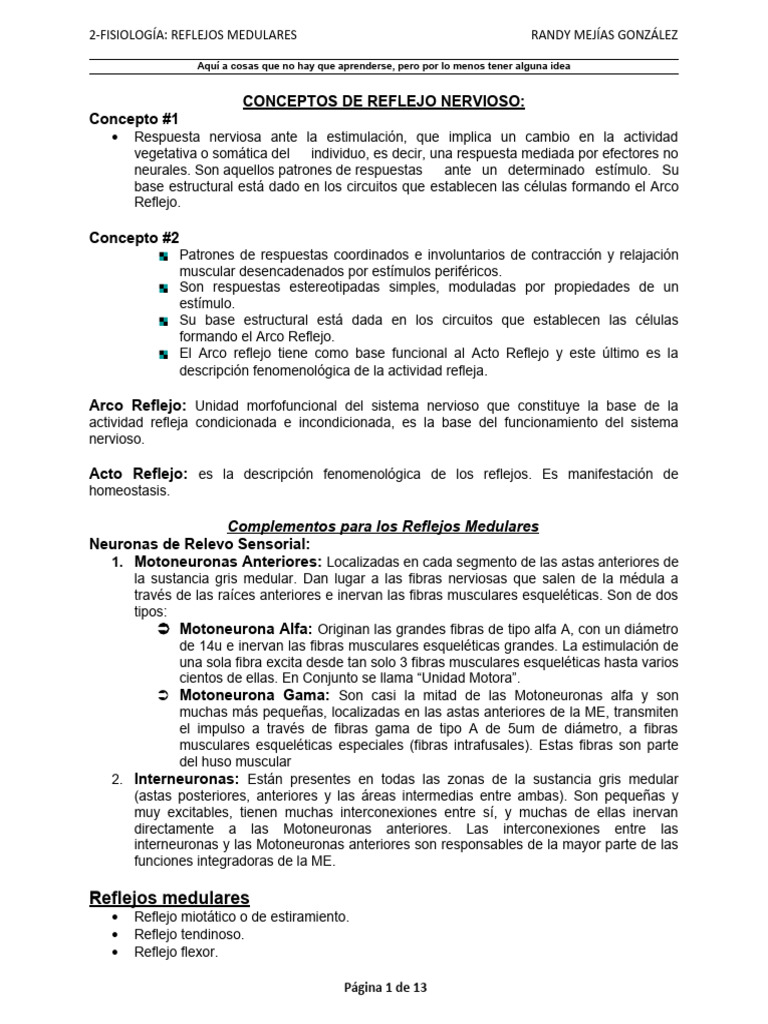 Reflejos Medulares: Conceptos Clave | PDF | Órgano (anatomía) | Anatomía