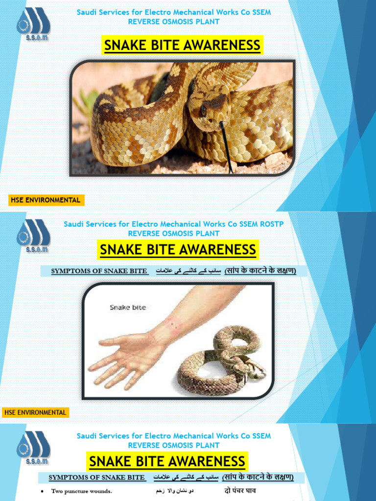 Snake Bite Awarness | PDF