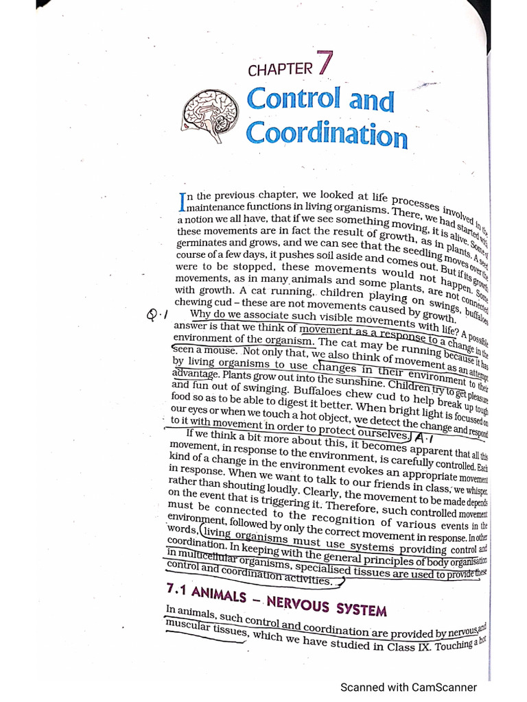 CH 7 Control and Coordination 1 | PDF