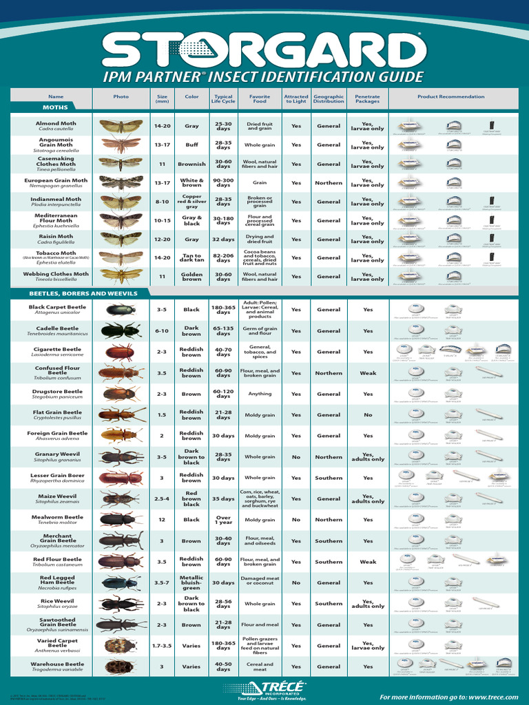 SPI Identification | PDF | Cereals | Insects