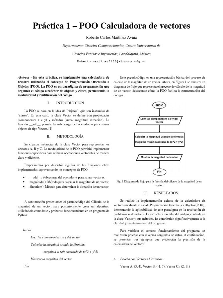 Practica 1 - POO Python Vectores | Descargar gratis PDF | Programación ...