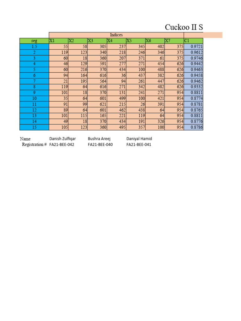 Excel File Reg# | PDF