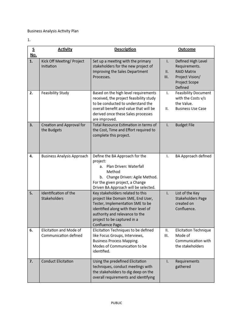 Business Analysis Activity Plan | PDF