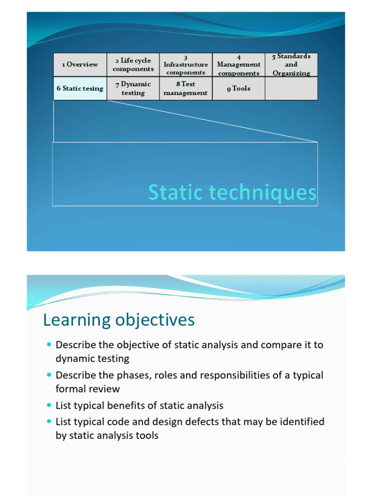 Chapter 6. Static Testing | PDF