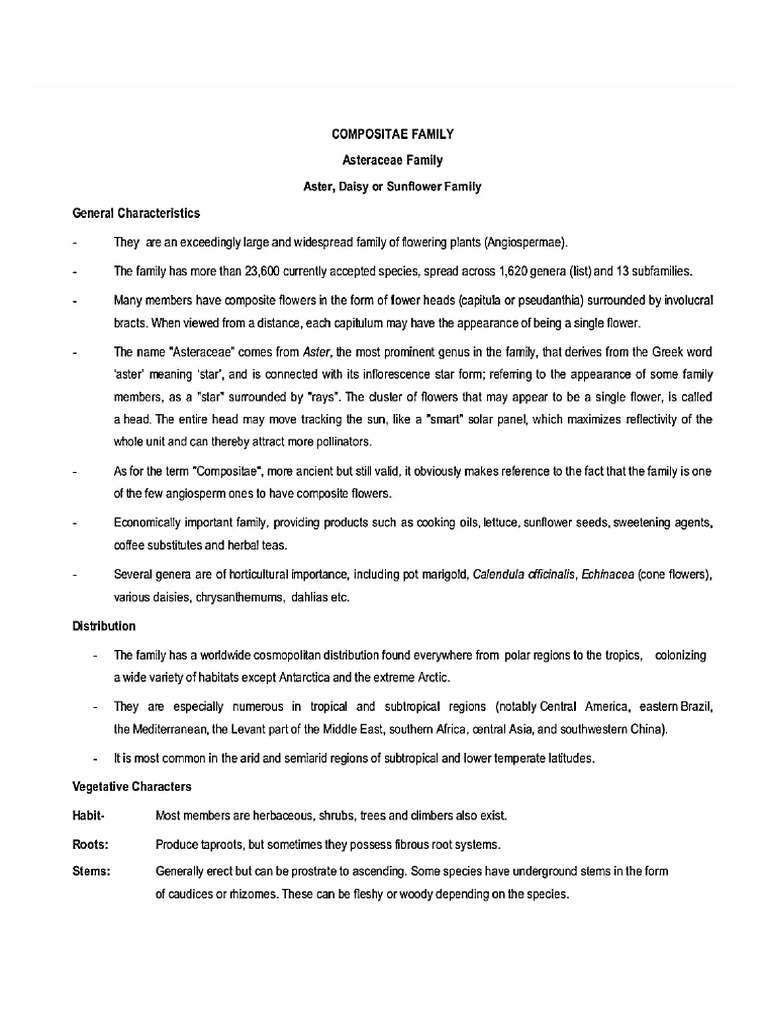 Compositae and Asteraceae | PDF