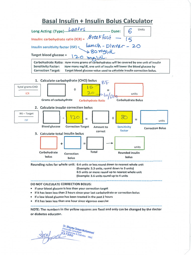 20231204-Revised Basal Insulin + Insulin Bolus Calculator | PDF