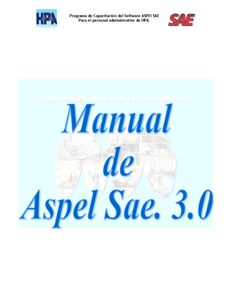 Manual Basico de Sae | PDF | Inventario | Software