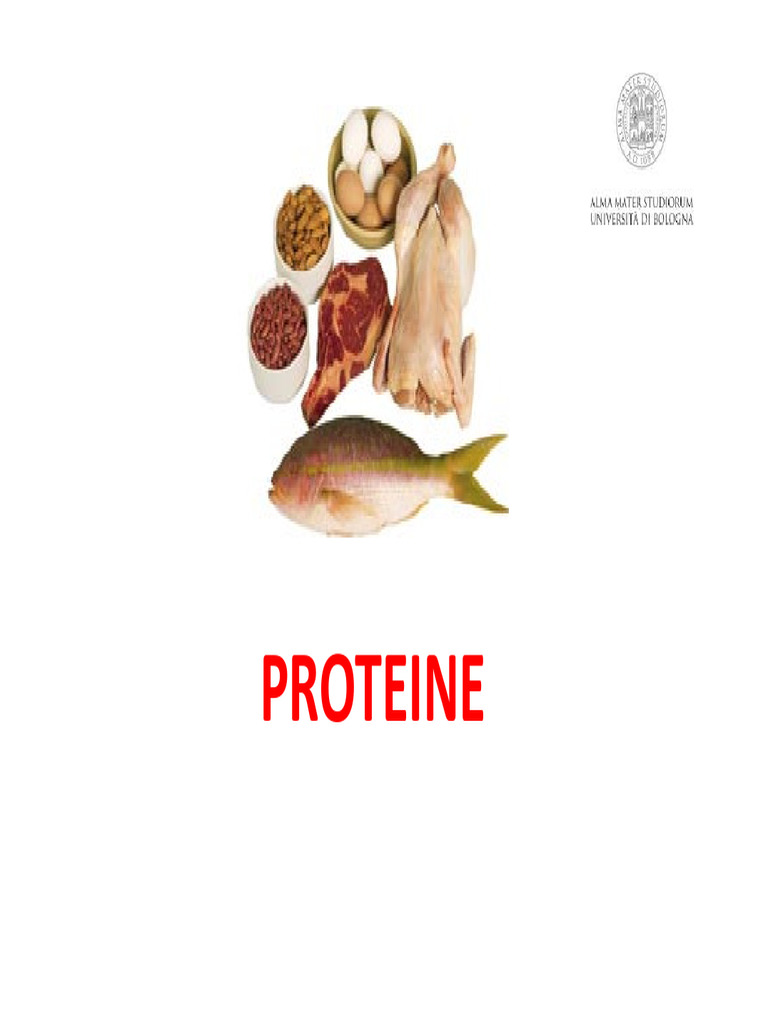 10 Proteine | PDF