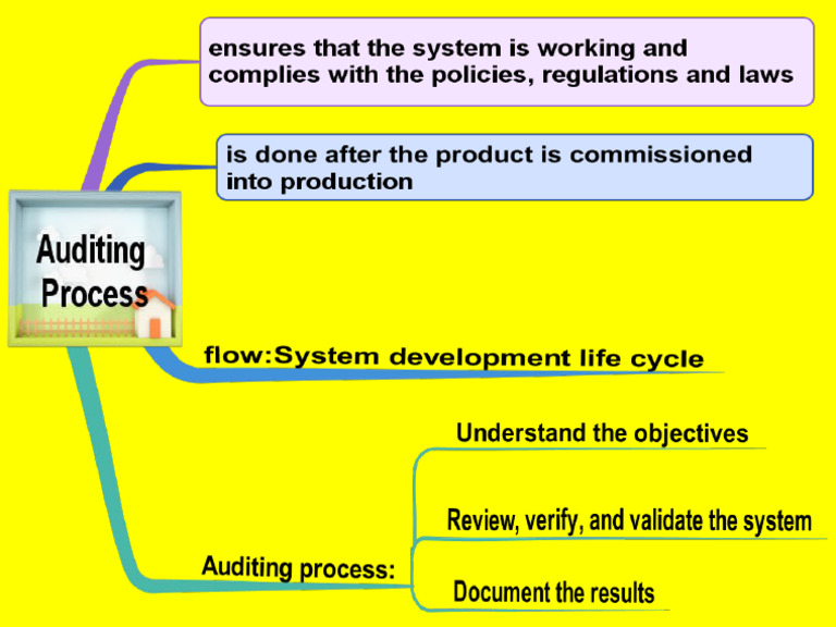Auditing Process | PDF