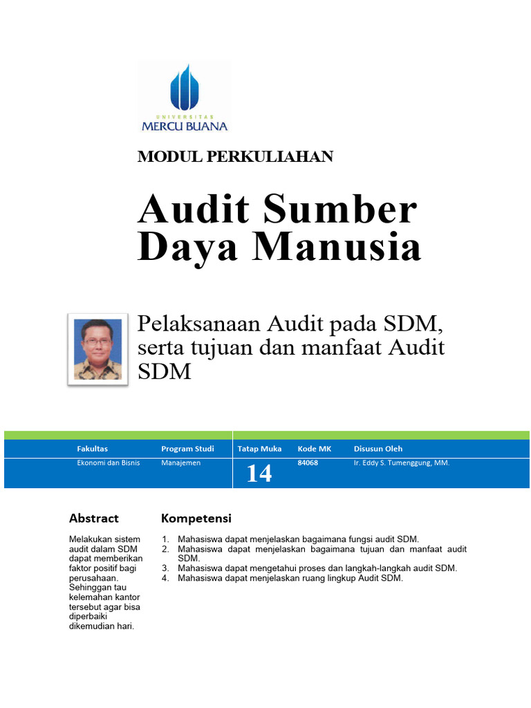 Audit SDM: Proses, Tujuan, dan Manfaat | PDF