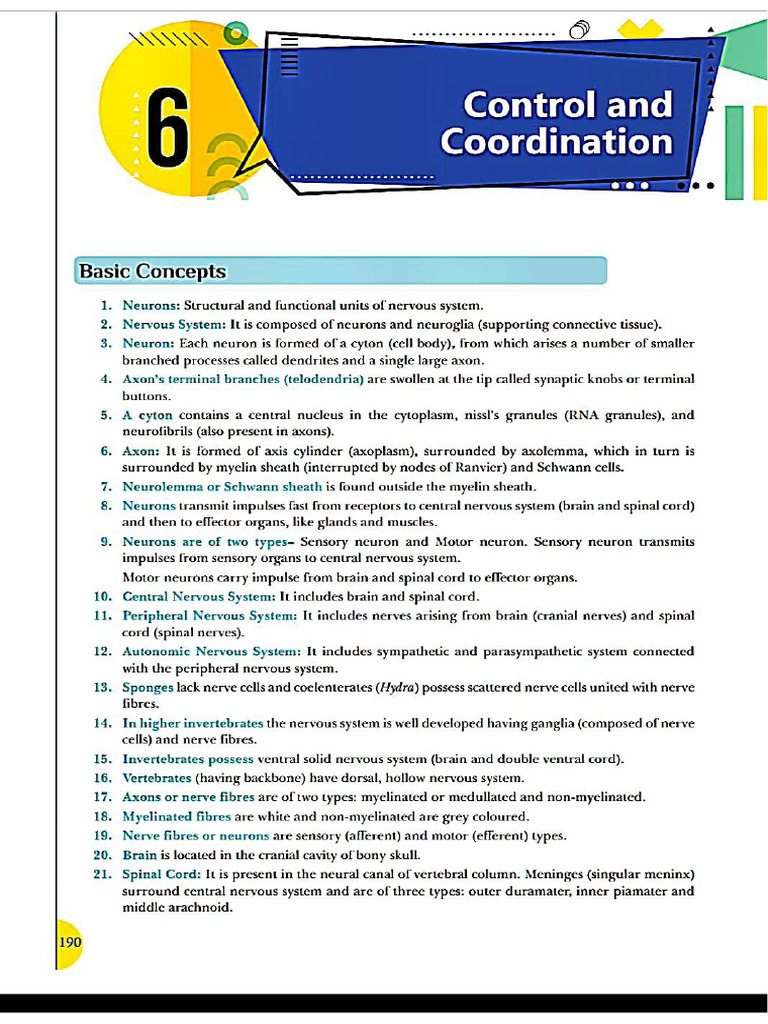 6.control and Coordination | PDF
