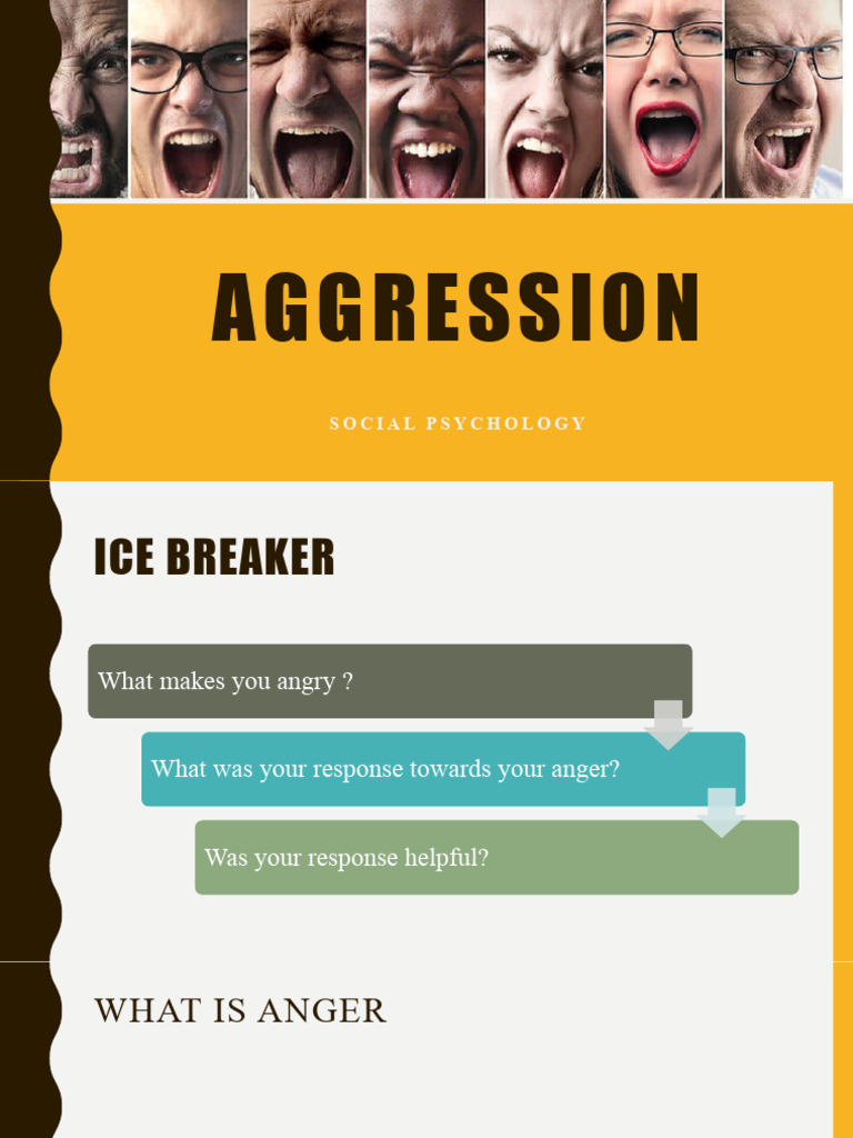 Aggression | PDF | Aggression | Anger