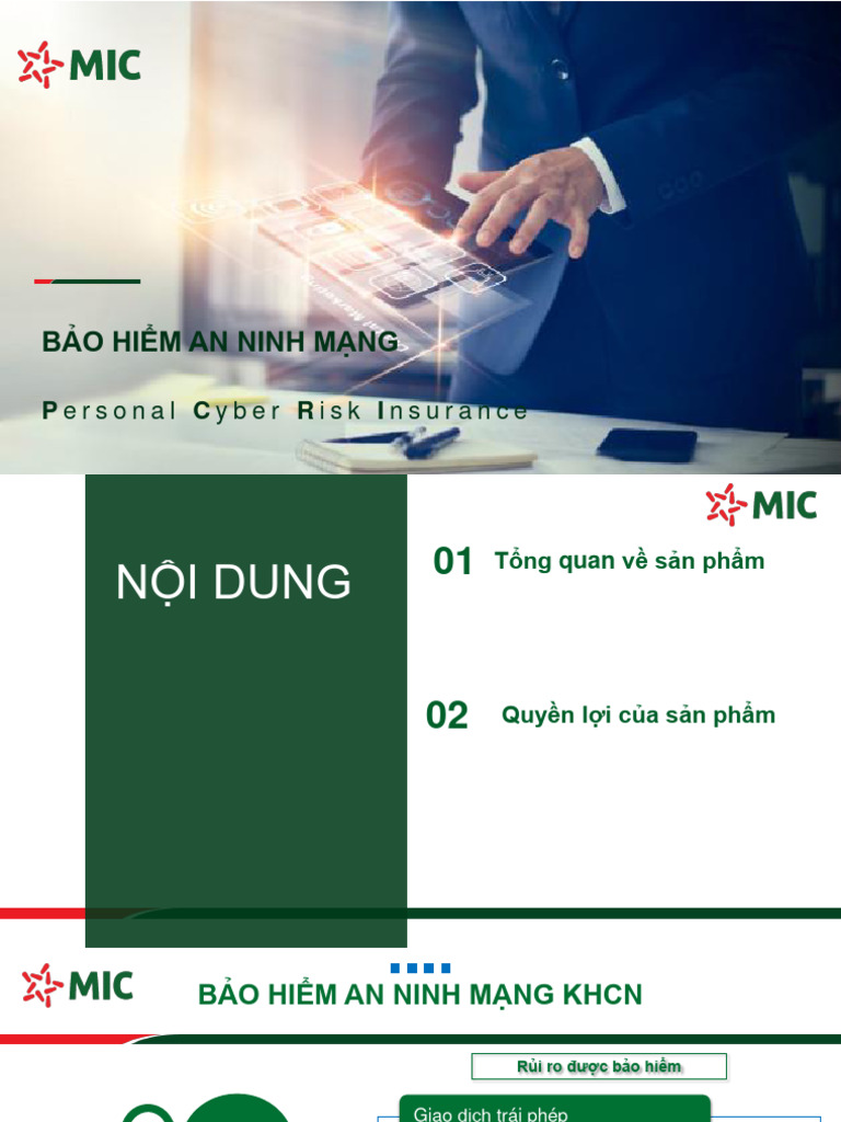 MIC Cyber Insurance Nov 2023 | PDF