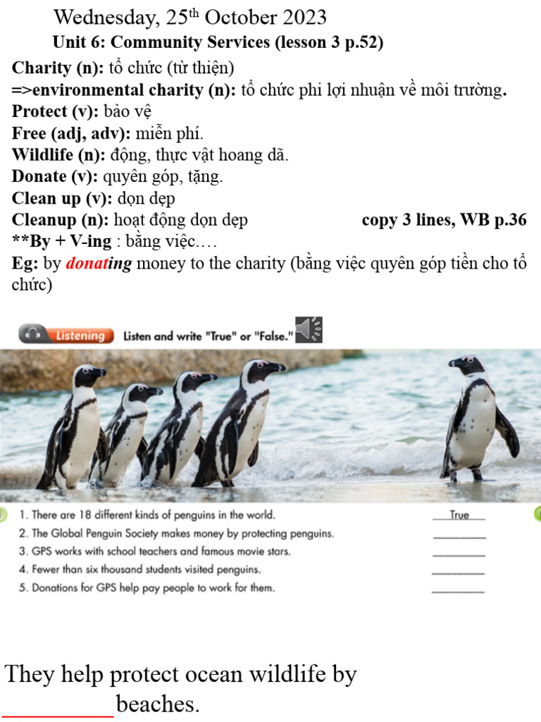 Community Services Vocabulary | PDF