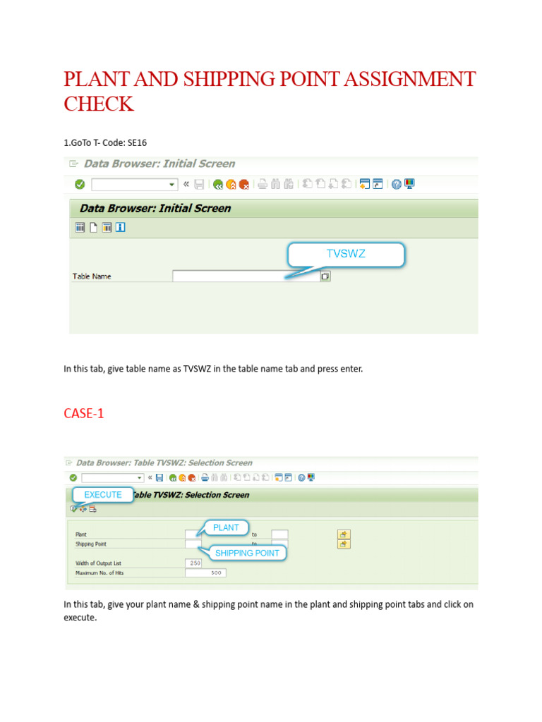 Plant and Shipping Point Assignment Guide | PDF