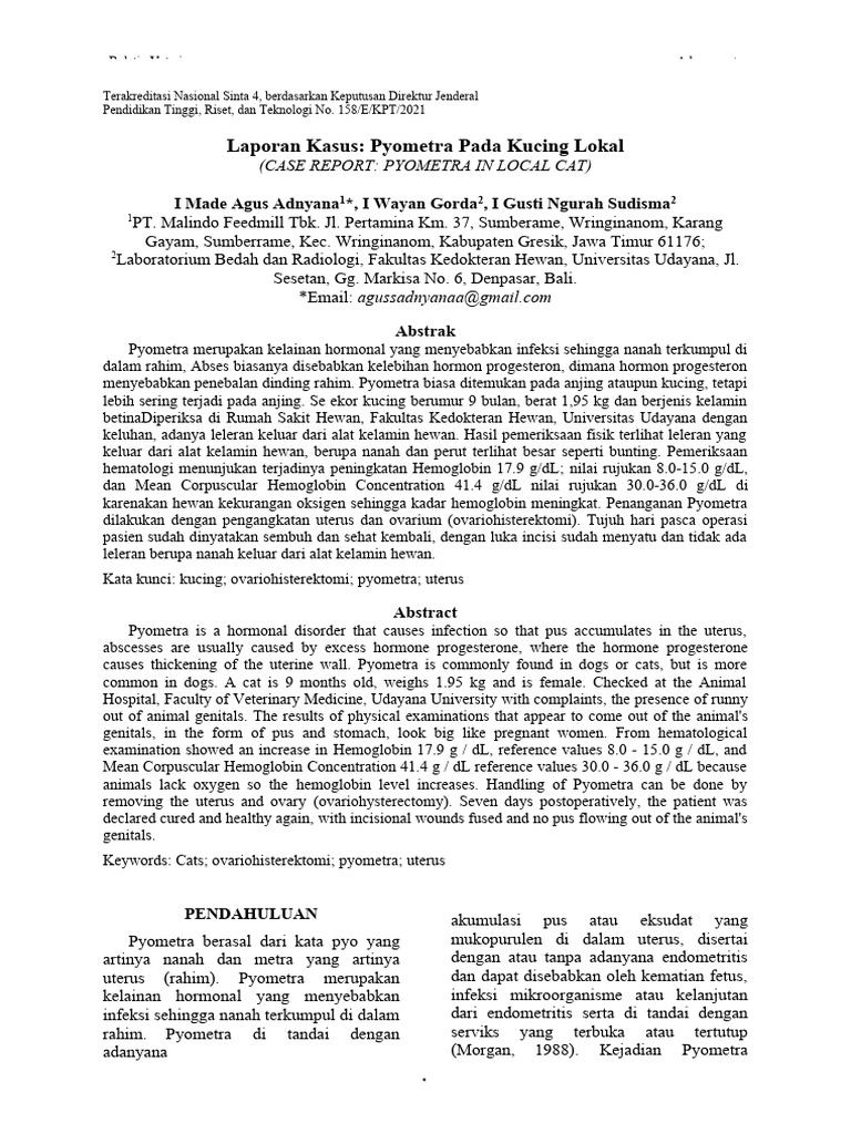 Laporan Kasus: Pyometra Pada Kucing Lokal: I Made Agus Adnyana, I Wayan ...