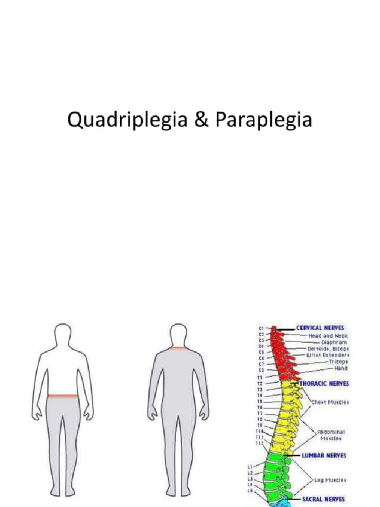 3 Quadriplegia Paraplegia | PDF