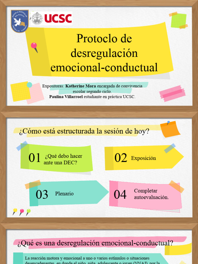 Protocolo de Desregulación Emocional-Conductual | Descargar gratis PDF | Las emociones ...