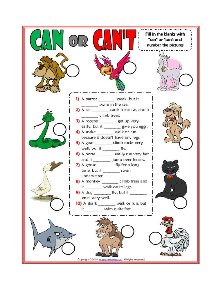 What Can Animals Do - Worksheet | PDF