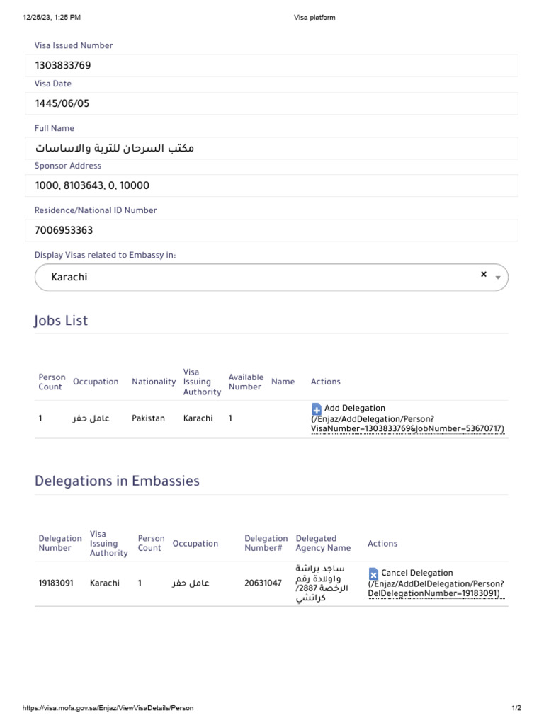 Visa Platform | PDF | International Relations | Government