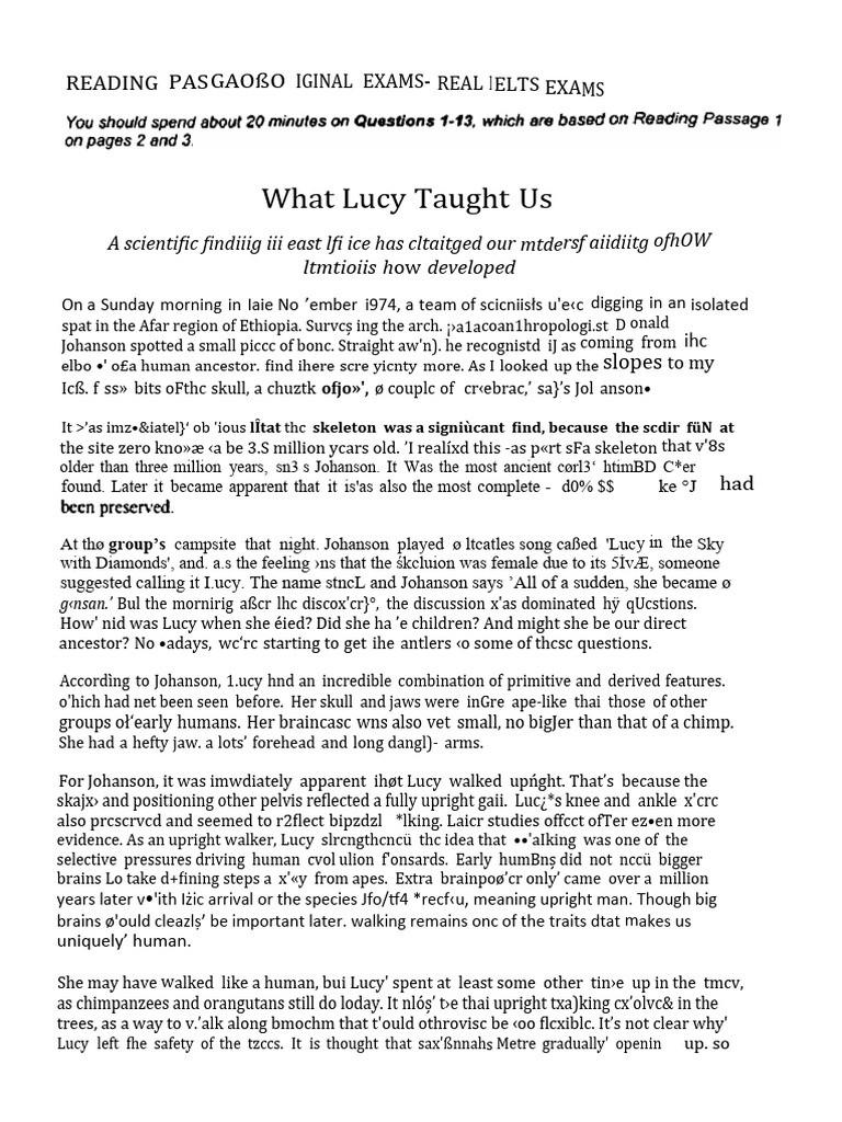 TEST 7b | PDF | Lucy (Australopithecus) | Perception