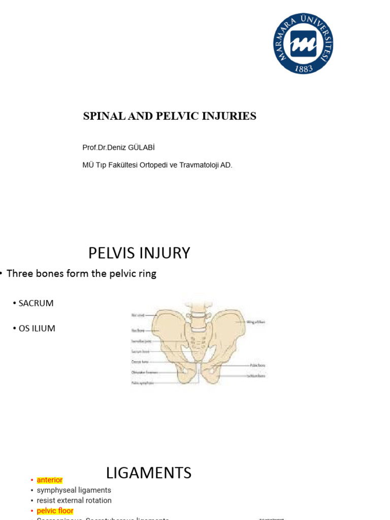 Sports Medicine (Elbow and Spinal Injuries) Injuries | PDF | Pelvis ...