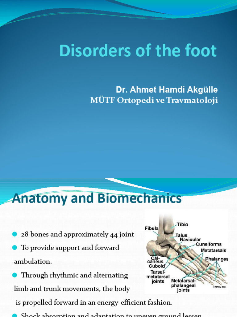 Foot and Ankle Disorders | PDF | Foot | Toe