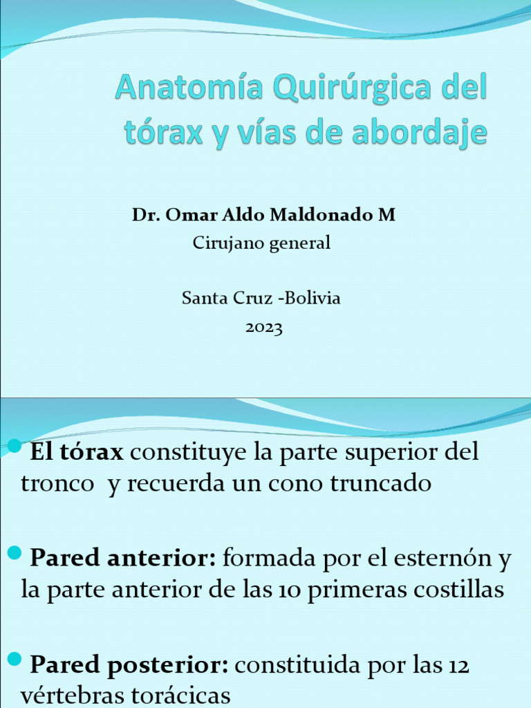 Anatomía y Cirugía del Tórax | PDF | Tórax | Sistema esquelético