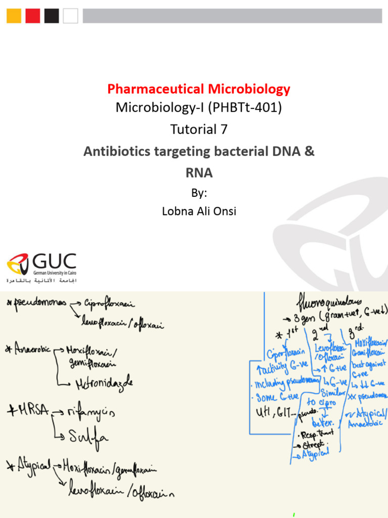 Tut 7 Bacterial DNA & RNA | PDF