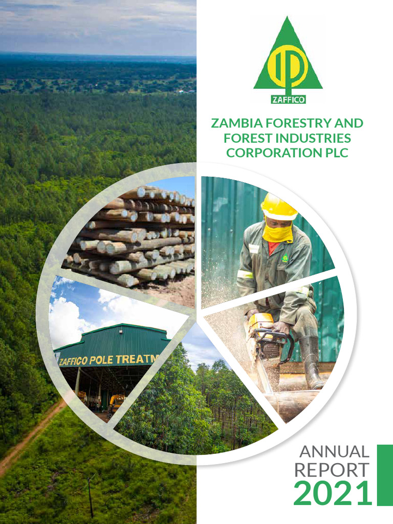 2021 ZAFFICO Annual Report | PDF