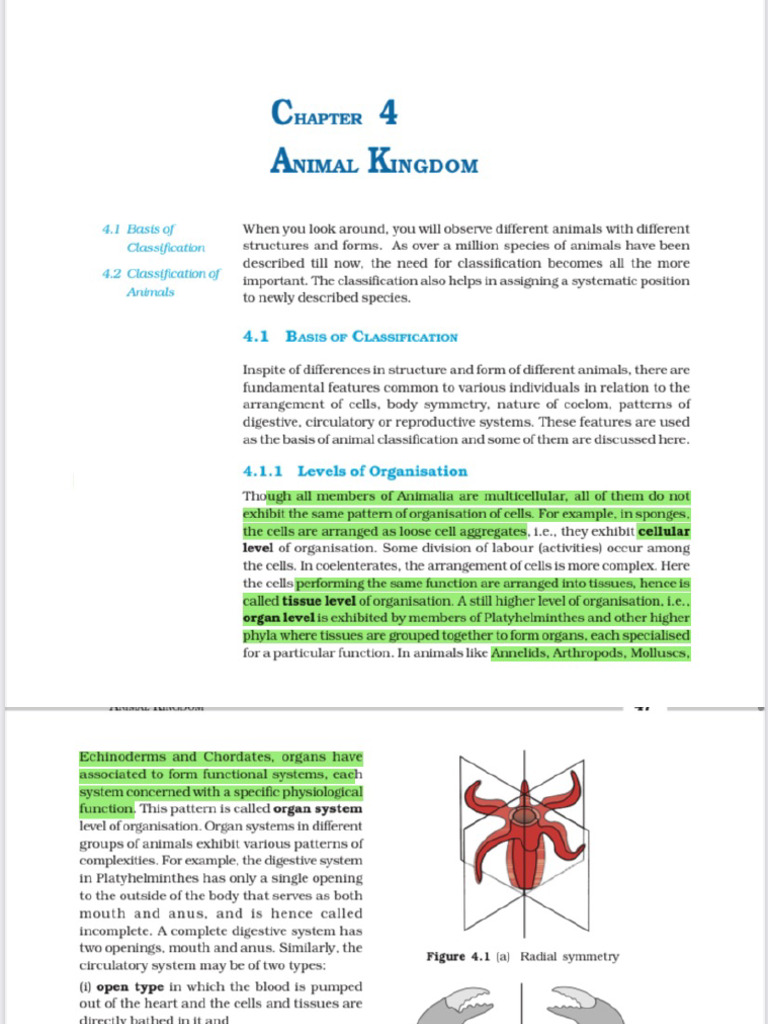 Animal Kingdom | PDF