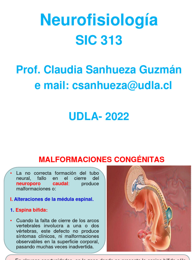 MALFORMACIONES_CONGÉNITAS | PDF | Especialidades Medicas | Órgano (anatomía)