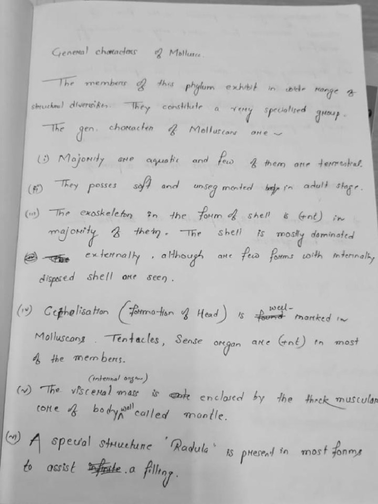 Mollusca Notes | PDF